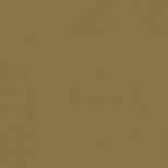 RAL 1036 Aerosol Spray Paint Pearl Gold | Premium Custom Spray Paints