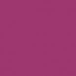 RAL 4006 Aerosol Spray Paint Traffic Purple | Premium Custom Spray Paints
